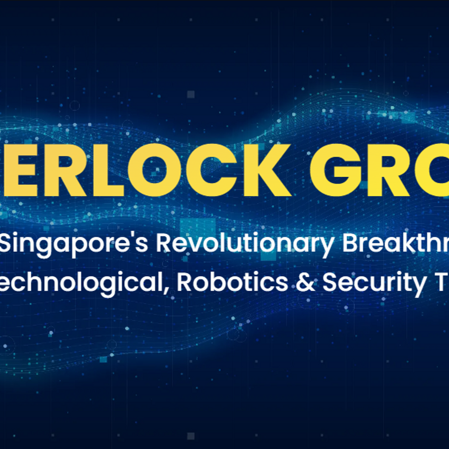 About INTERLOCK SECURITY AND INVESTIGATION SERVICES PTE LTD - Wantedly