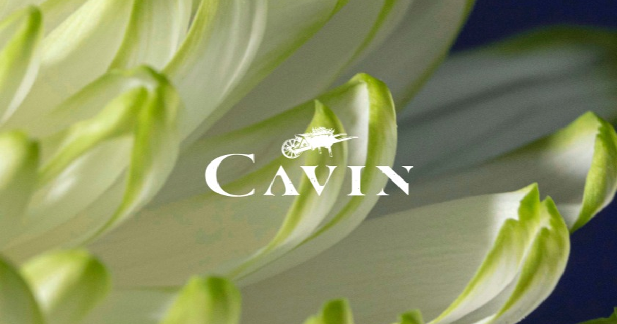 世界の花の会社を目指す、花のクリエイティブディレクター募集！ - CAVIN Inc.のクリエイティブディレクターの採用 - Wantedly