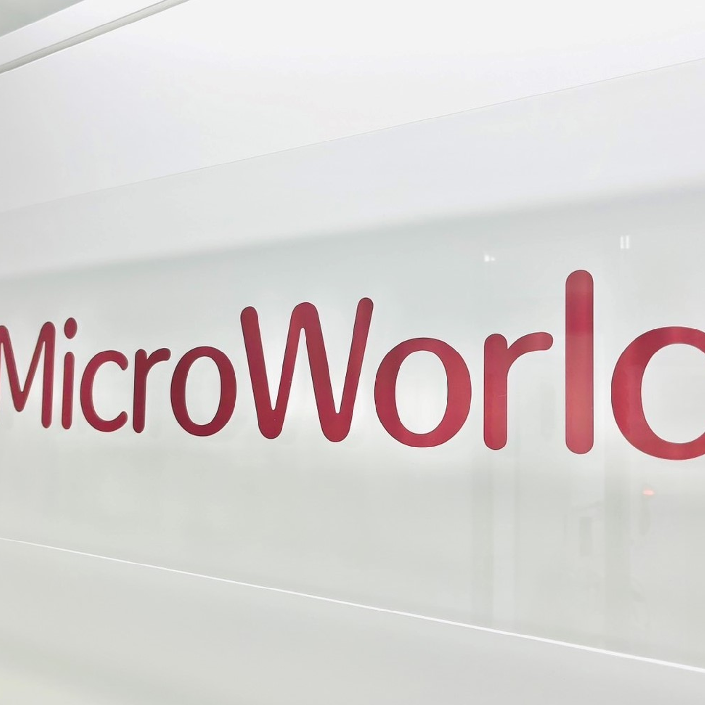 MicroWorld株式会社 の会社情報 - Wantedly