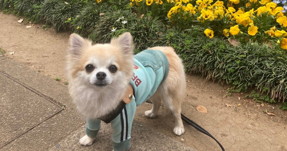 新規サービス立ち上げから携わりたいエンジニア募集！！ - 合同会社aciassのWebエンジニアの採用 - Wantedly