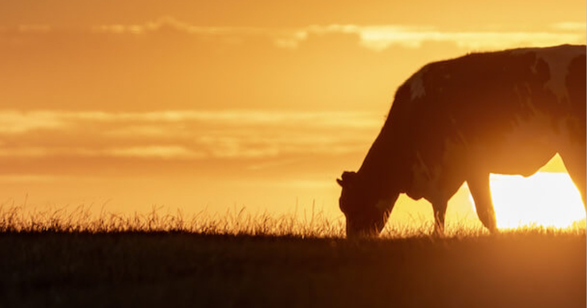 乳酸菌で世界的に深刻な環境問題を解決！｜仕事に胸をはれる商材 - 株式会社Koagoの法人営業の採用 - Wantedly