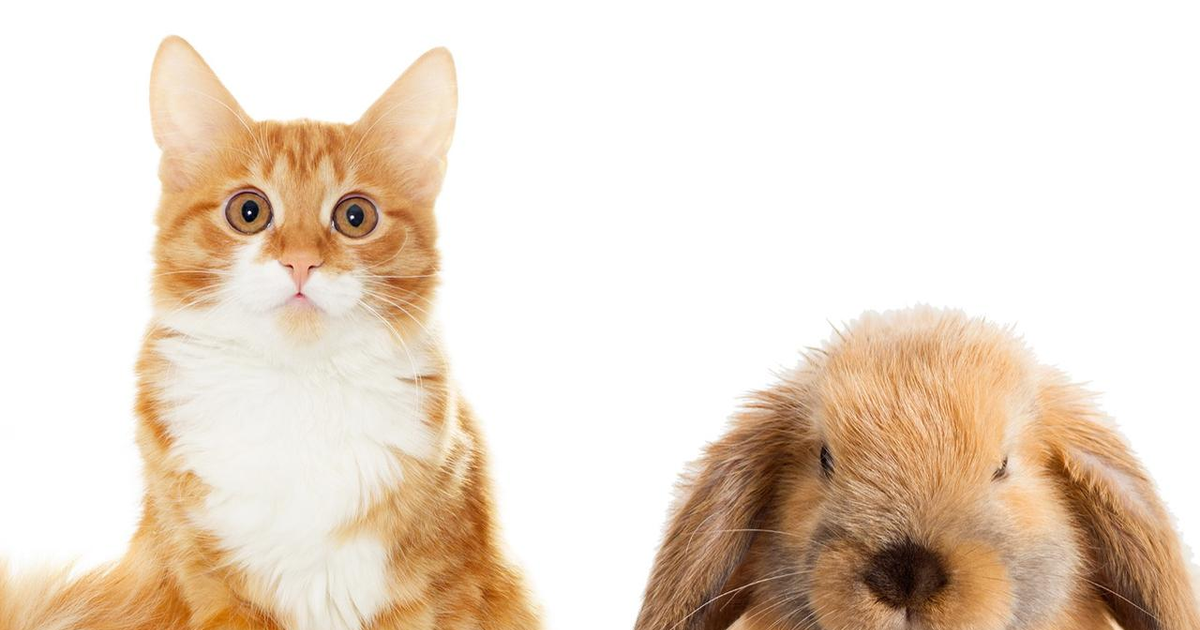 PM、PL経験者大歓迎！お話からでもご応募ください！ - 株式会社TYLのエンジニアリングの採用 - Wantedly