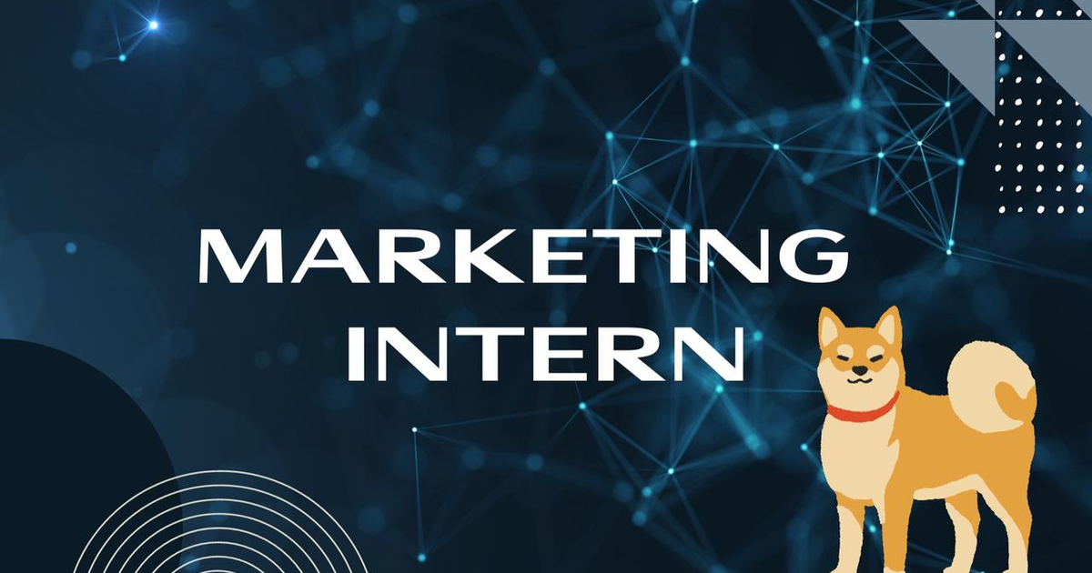 Webマーケティングが学べる実践型長期インターン - ZEROUM株式会社のWebマーケティングの採用 - Wantedly