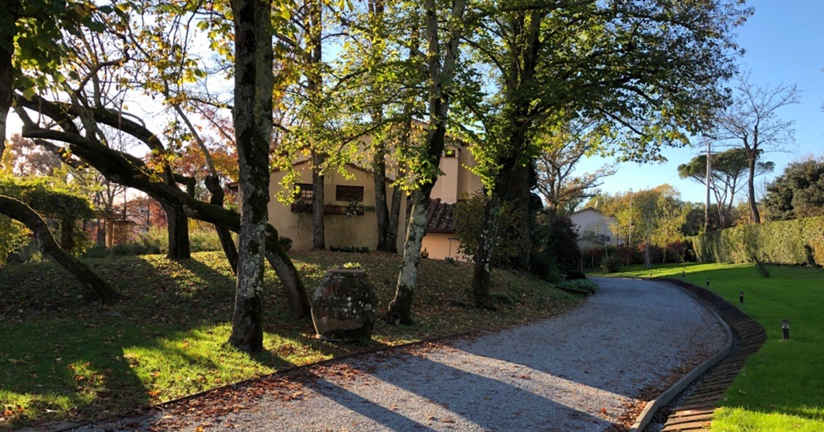 Tagetikの語源は…。 | Tagetik Japan株式会社