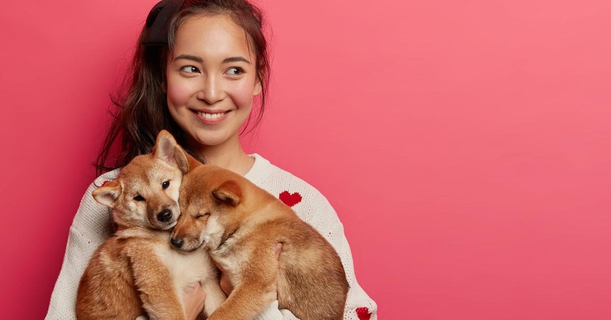 新規事業：Webコンサルティング！集患事業のカスタマーサクセス！ - 株式会社TYLのセールス・事業開発の採用 - Wantedly