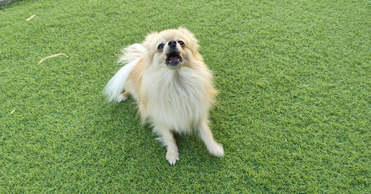 ライフワークバランスを重視！OJTで安心してエンジニア目指せる最高の環境 - 株式会社バラックスのWebエンジニアの採用 - Wantedly