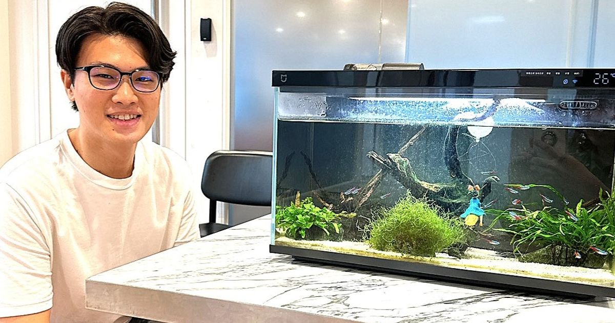 経営直下の新規事業企画に挑戦｜最新のIOT家電を世の中に広げるメンバー募集 - Inagora株式会社の事業開発の採用 - Wantedly