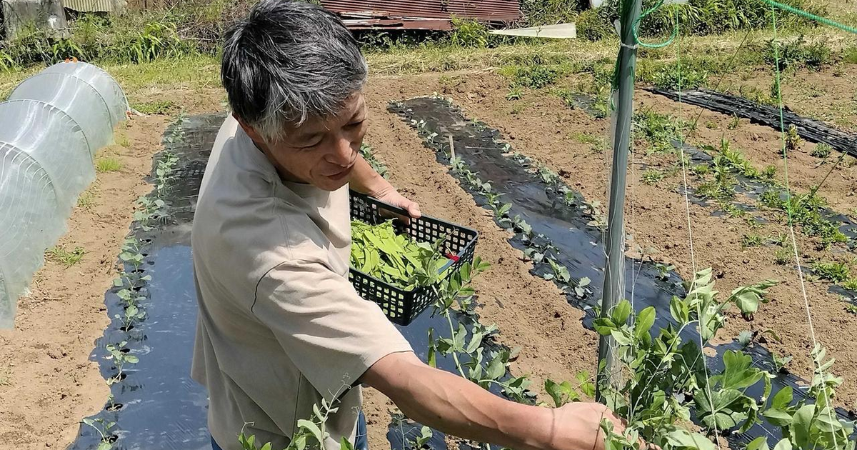 WEB開発と農業を引っ提げて地方で暮らす方法を提示していく - 合同会社REPOCのWebエンジニアの採用 - Wantedly