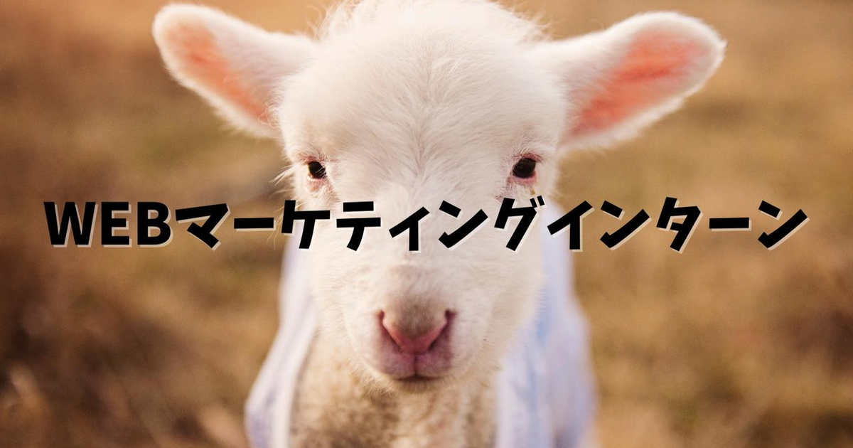 何かに熱狂したい君へ。夢中になれるWebマーケティングの実践型インターン。 - ZEROUM株式会社のWebマーケティングの採用 - Wantedly