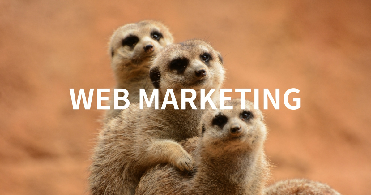 0からのスタート｜実践できる環境で、WEBマーケティングの経験値を上げよう - ZEROUM株式会社のWebマーケティングの採用 - Wantedly